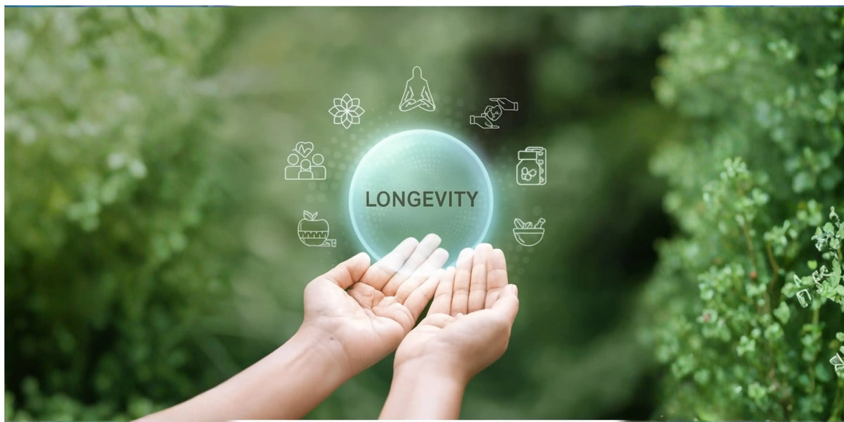 The Future of Wellness, Longevity & Healthspan - STMNA Bioactive ...